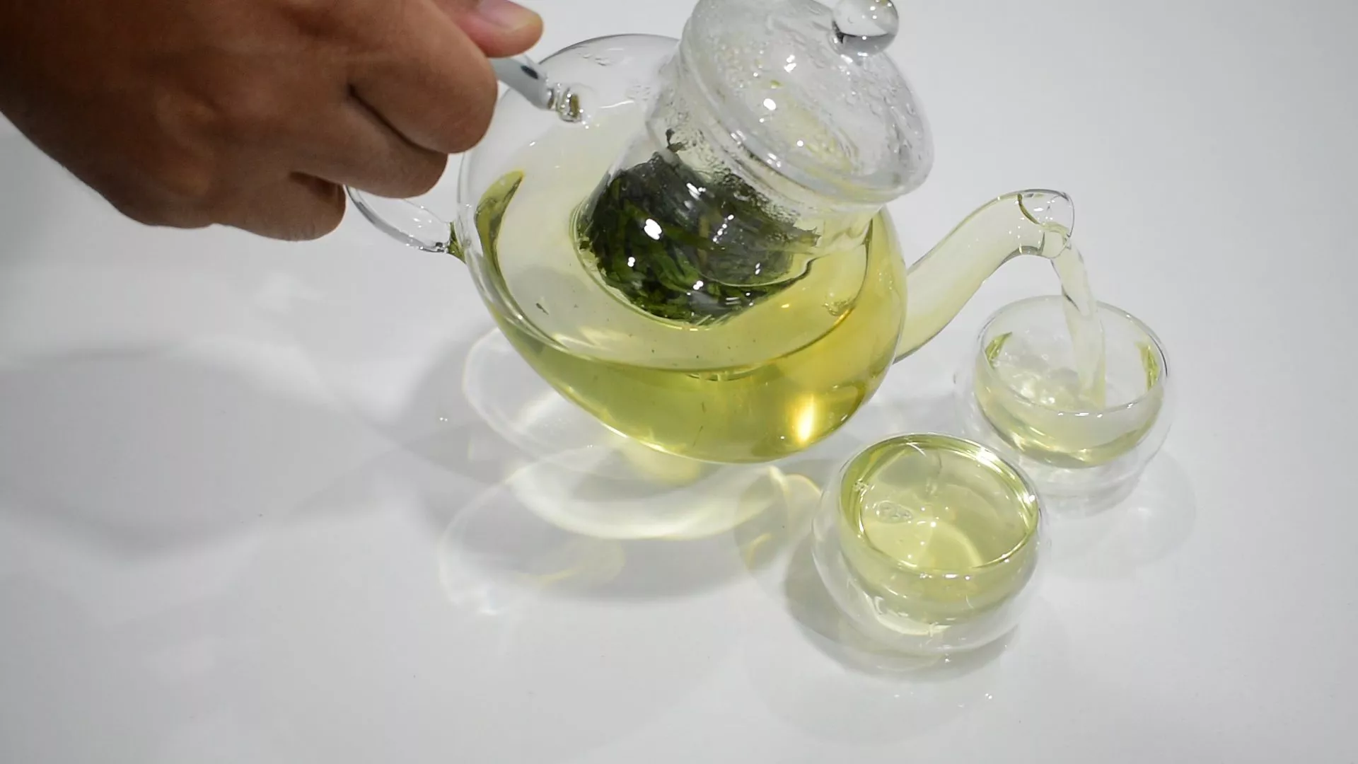 Grown African Bitter Leaf Tree and Make a Tea – Krittiya Garden World