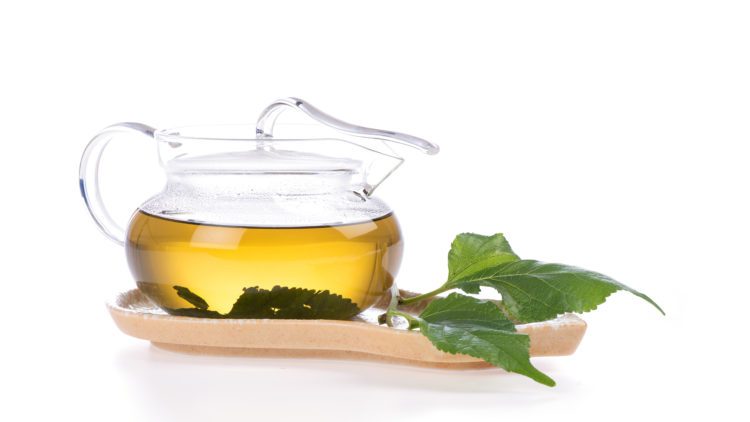 Mulberry Leaf Tea Benefits and Side Effects - Krittiya Garden World